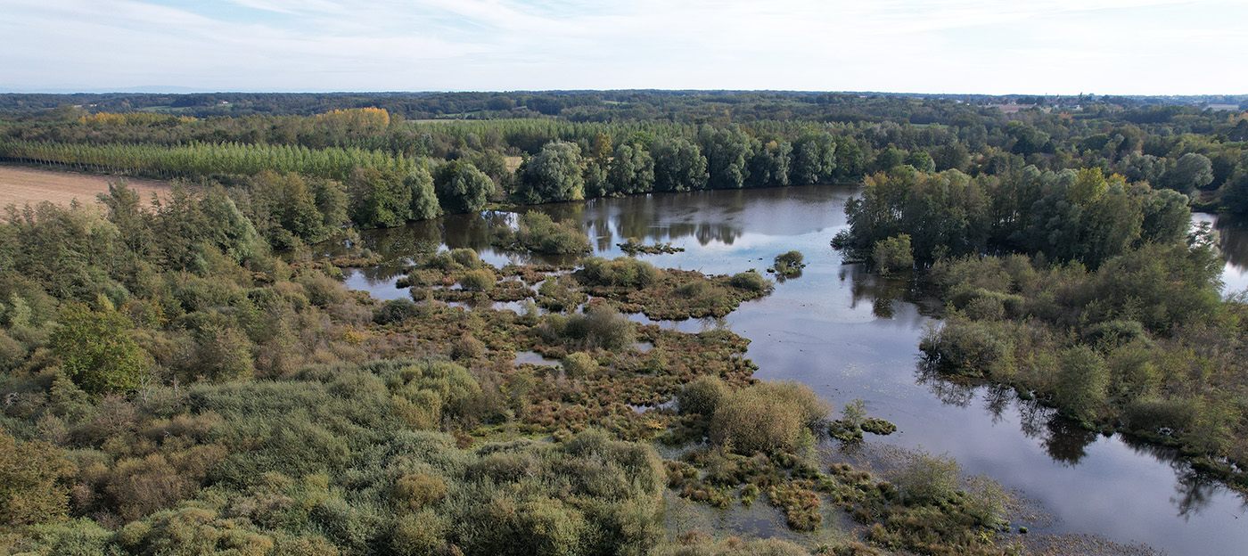 Découverte de l'Étang Fouget à la Réserve Naturelle Nationale de La ...